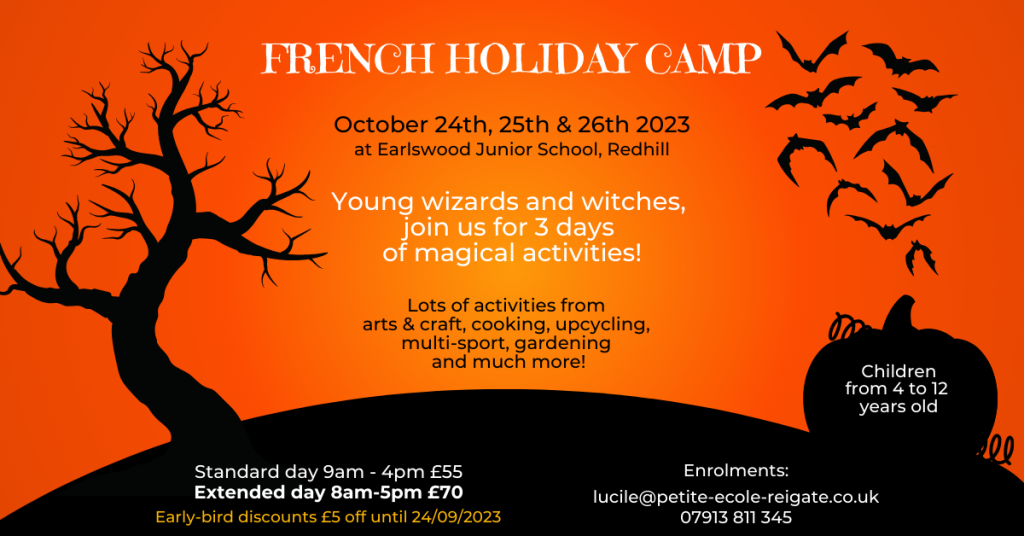 Enchanted Adventures Await: Unveiling Our Magical Holiday Camp ...